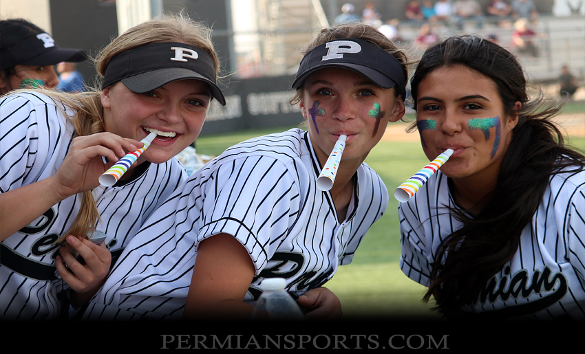 Tennessee Mojo Softball